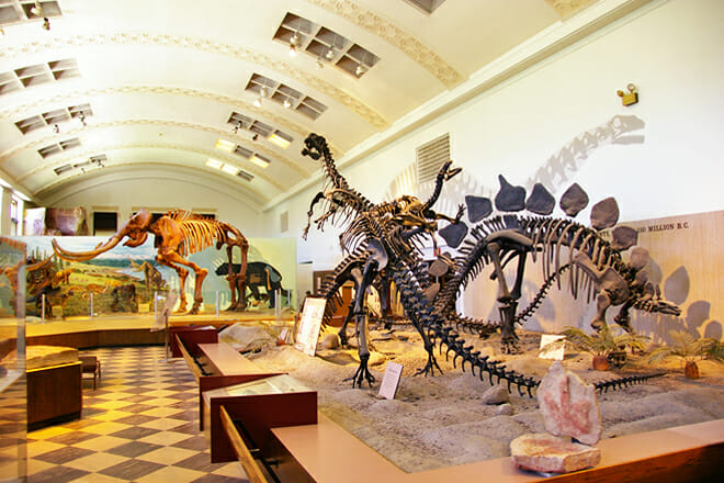 Natural History Museum of Utah &mdash; Salt Lake City