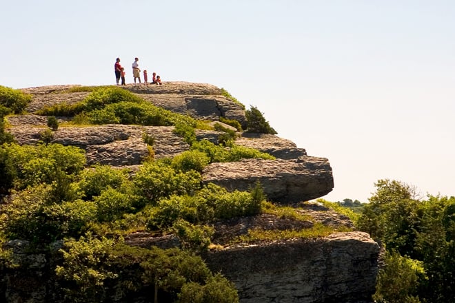 Norman Bird Sanctuary &mdash; Middletown