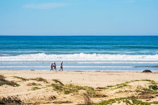 north beach &mdash; pismo state beach