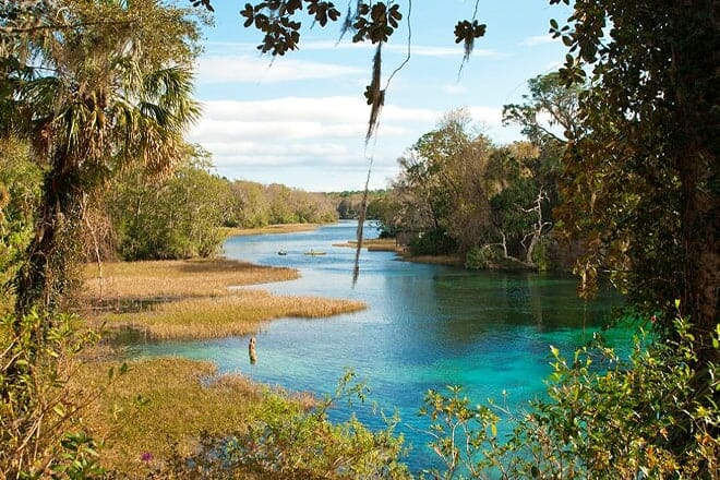 Oscar Scherer State Park
