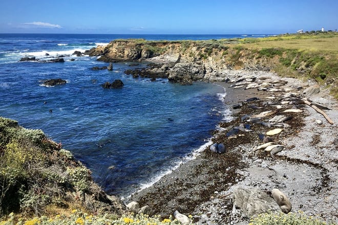 piedras blancas &mdash; san simeon