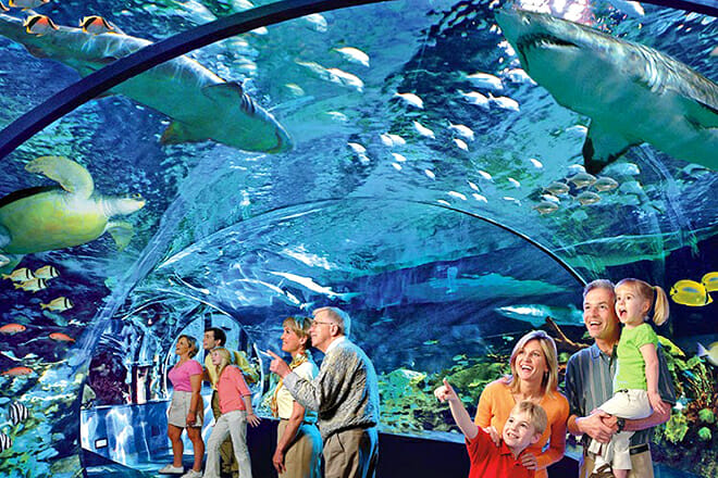 Ripley's Aquarium of the Smokies &mdash; Gatlinburg