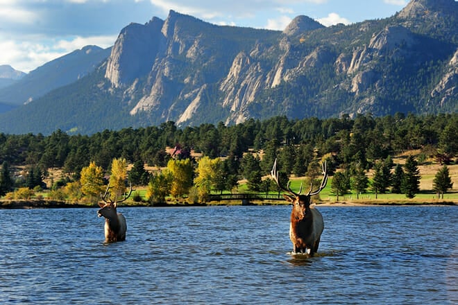 Rocky Mountains National Park &mdash; Estes Park