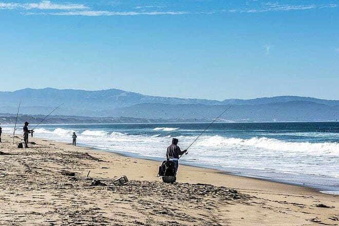 salinas river national wildlife refuge