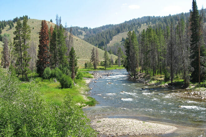 Salmon River &mdash; Salmon