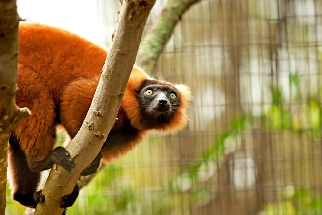 Santa Fe College Teaching Zoo