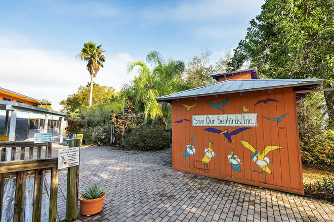 Save Our Seabirds Inc.