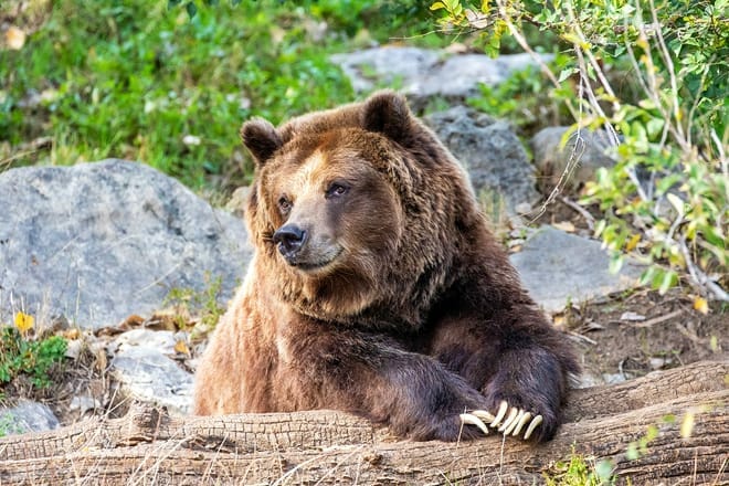 sedgwick county zoo &mdash; wichita