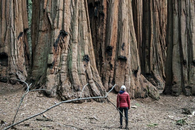 sequoia & kings canyon national park &mdash; three rivers
