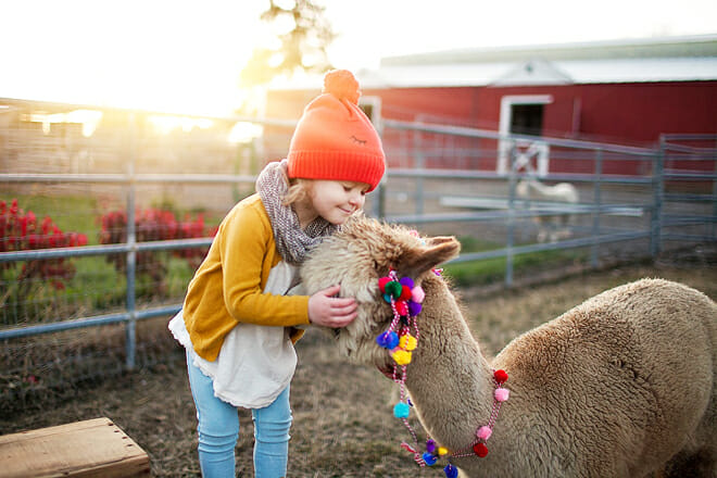 Seven Stars Alpaca Ranch &mdash; Coeur D&rsquo;alene