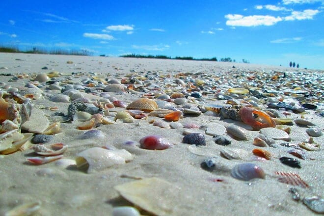 Shell Key Preserve Beach &mdash; Tierra Verde
