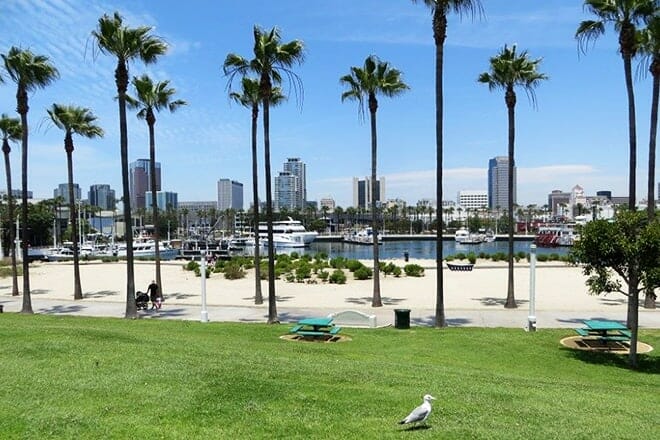 shoreline aquatic park