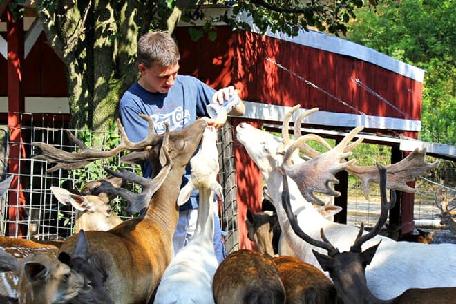 Smoky Mountain Deer Farm & Exotic Petting Zoo &mdash; Sevierville