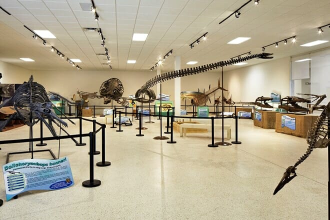 South Florida Science Center And Aquarium