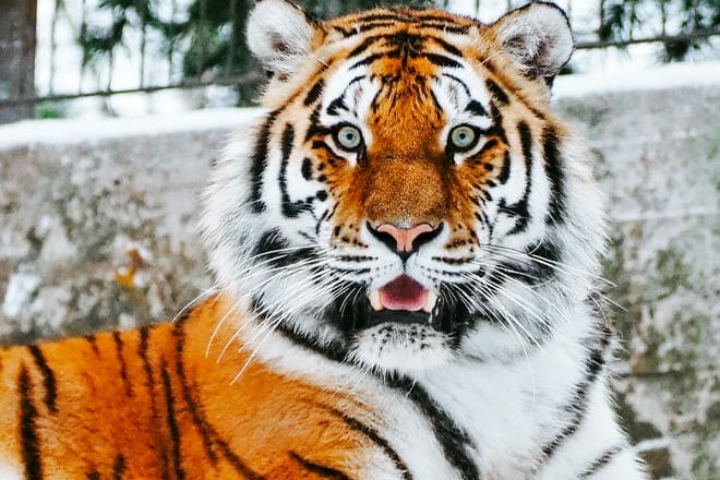 St. Augustine Wild Reserve