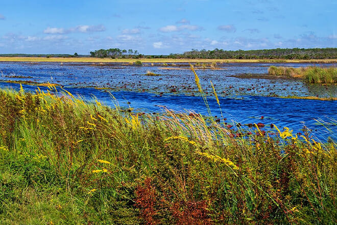 St. Marks National Wildlife Refuge