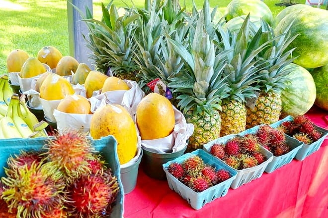 St. Petersburg Saturday Morning Market