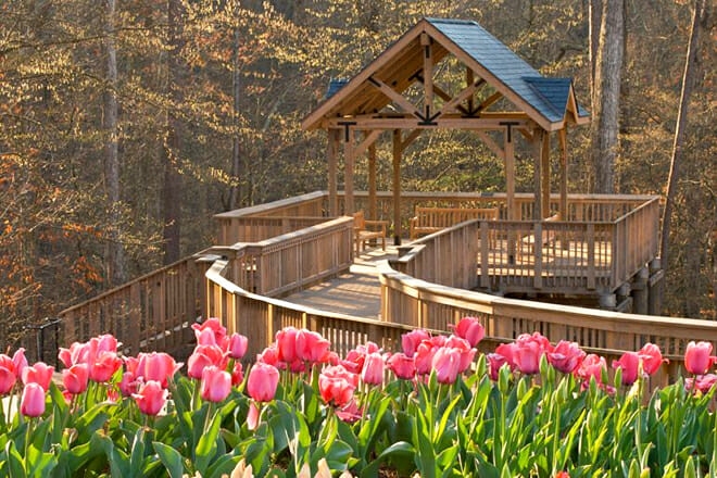 State Botanical Garden Of Georgia &mdash; Athens