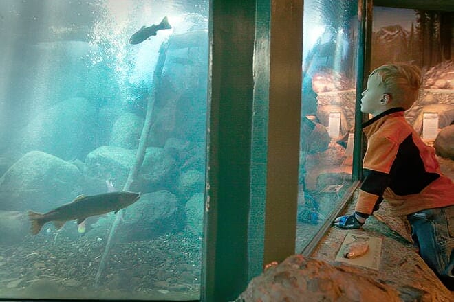 taylor creek visitor center