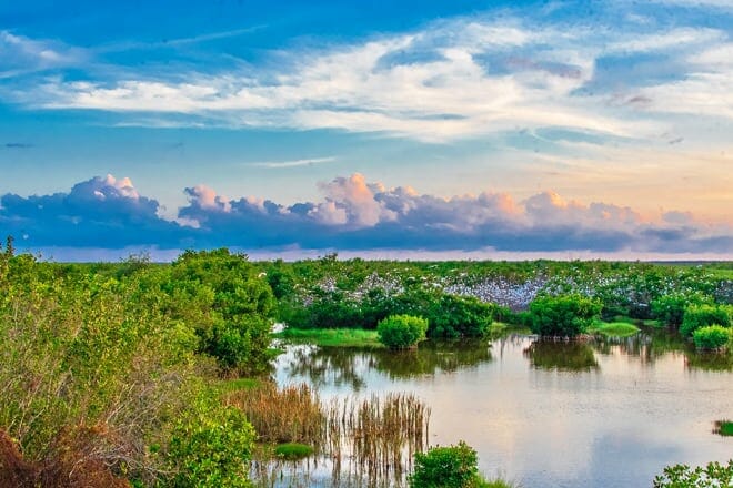 Ten Thousand Islands