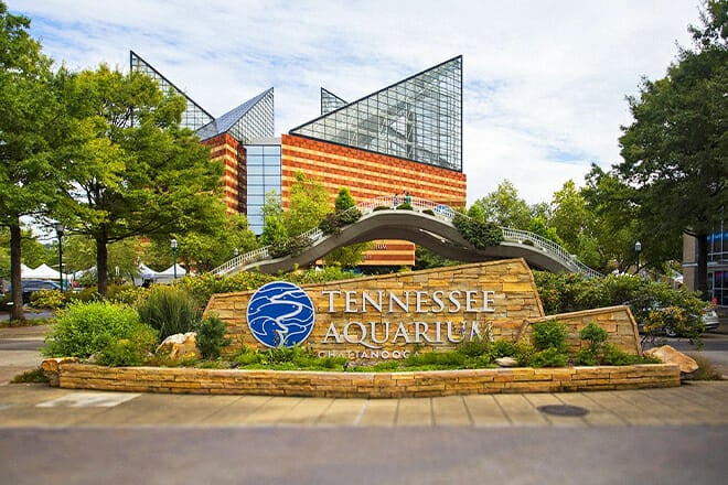 Tennessee Aquarium Chattanooga