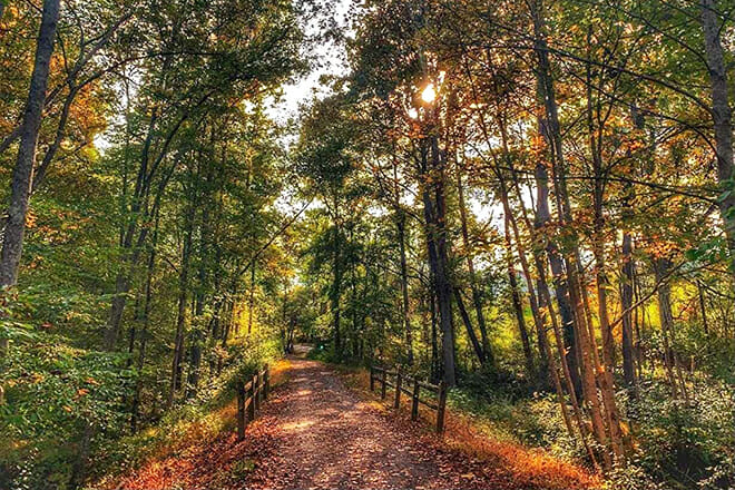 The Greenbrier Forest & Trail &mdash; Caldwell