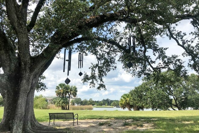 The Singing Oak &mdash; New Orleans