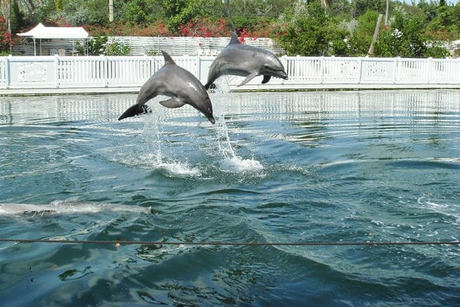 Theater of the Sea &mdash; Islamorada