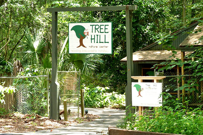 Tree Hill Nature Center