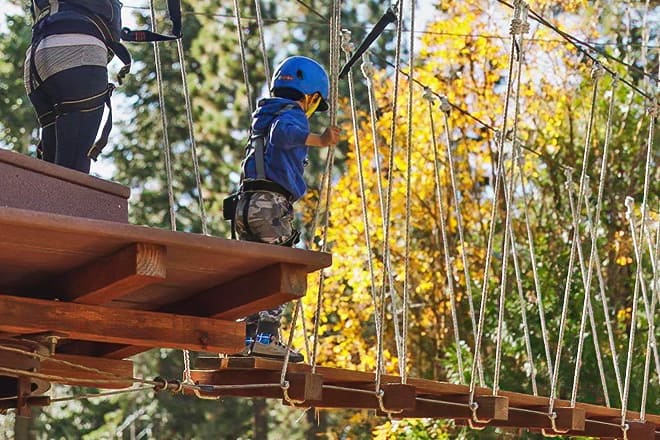 treetop adventure park