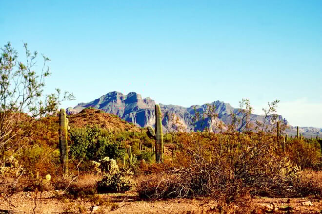 Usery Mountain Regional Park — Mesa