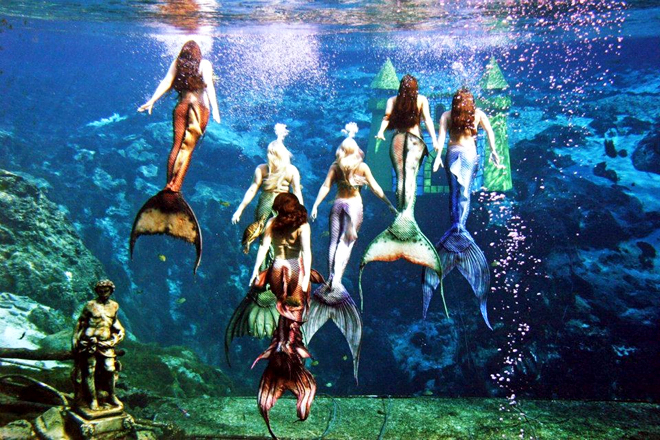 Weeki Wachee City Of Live Mermaids &mdash; Spring Hill