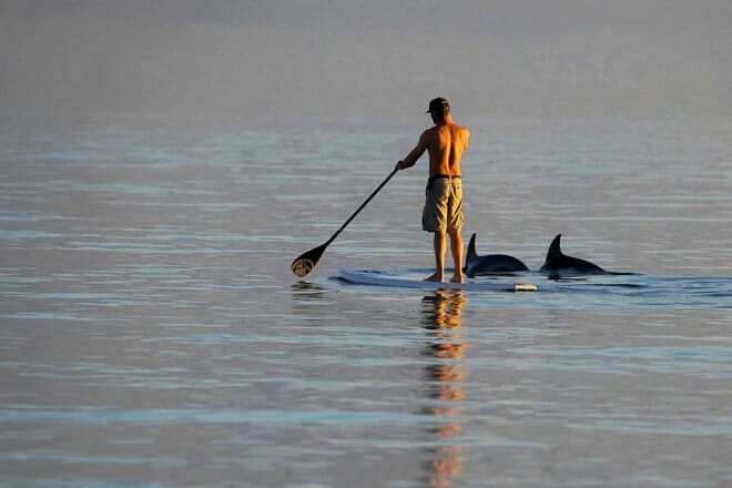 Wildlife Watersports