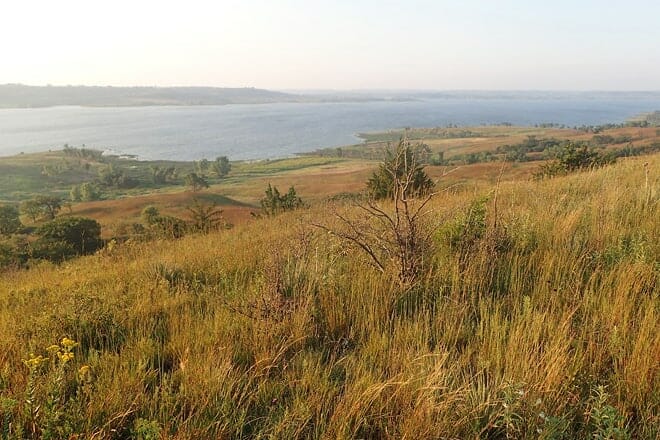 wilson state park &mdash; sylvan grove