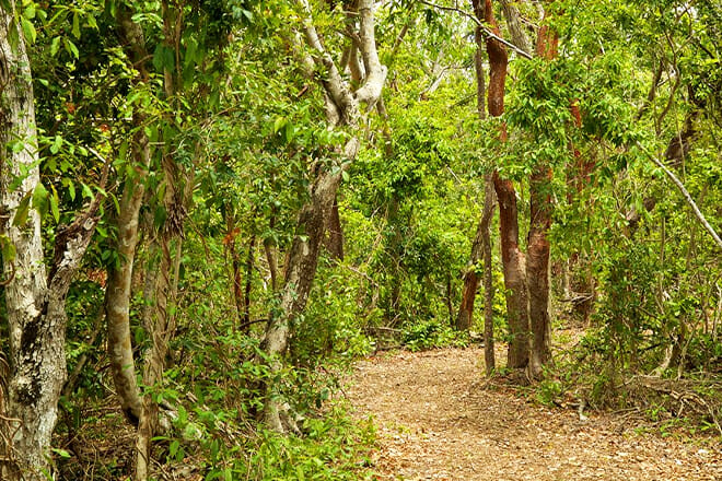 Windley Key Fossil Reef Geological State Park