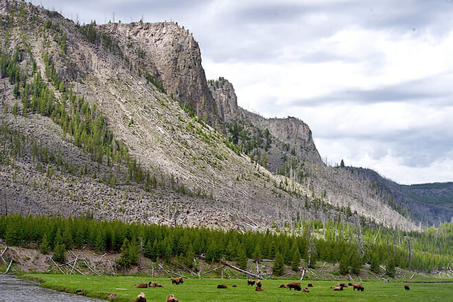 Zone Of Death &mdash; Yellowstone National Park
