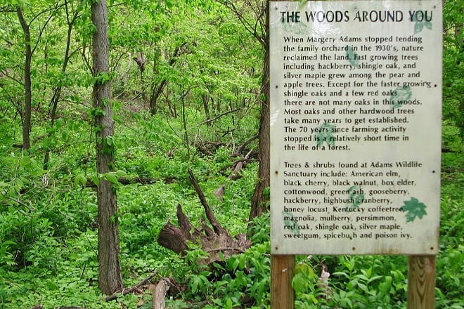 adams wildlife sanctuary