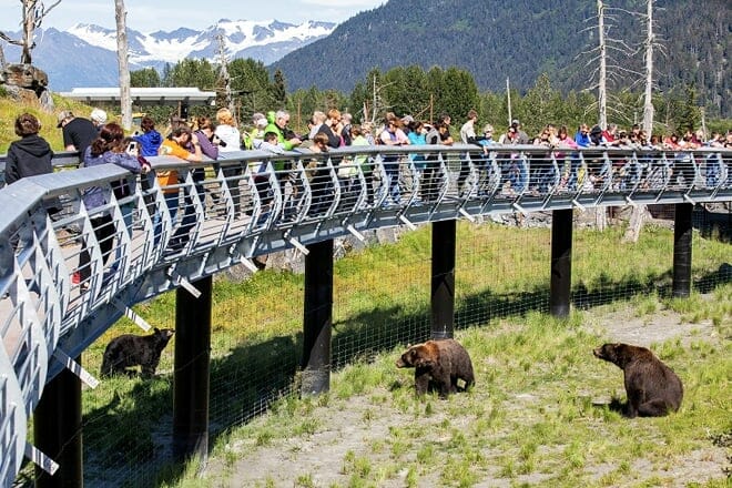 alaska wildlife conservation center