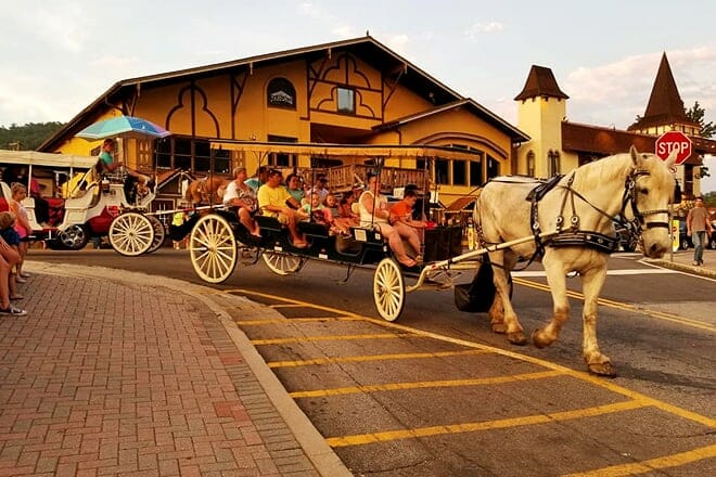 alpine carriage company