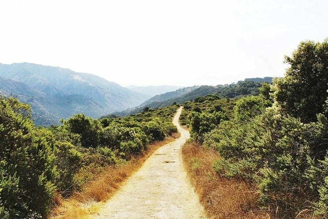 andrew molera state park
