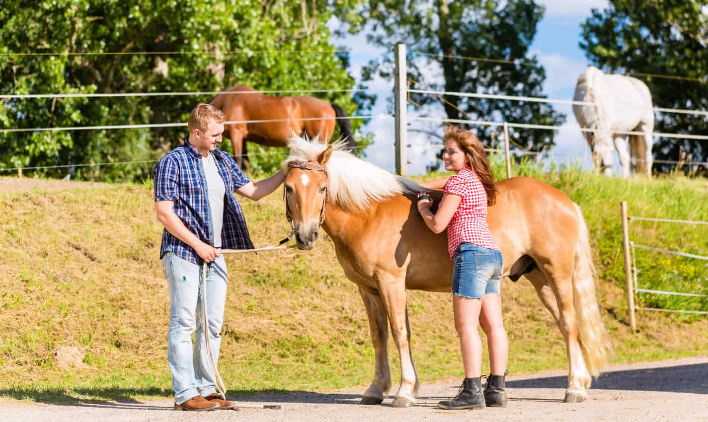 best things to do in bakersfield, ca