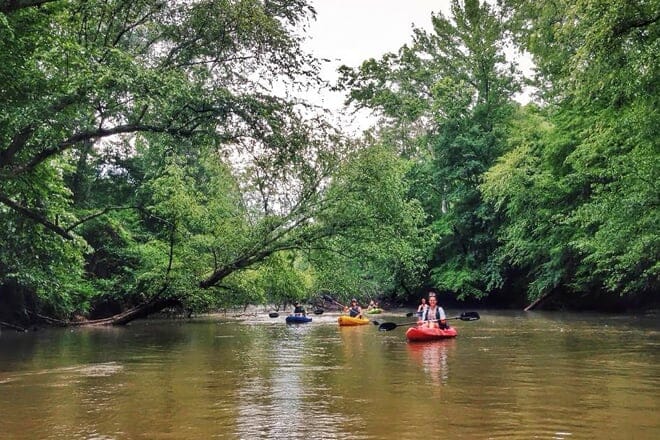 big dogs on the river