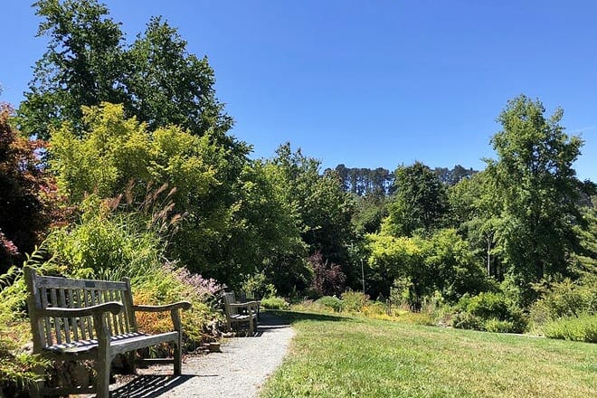 botanical garden at uc berkeley