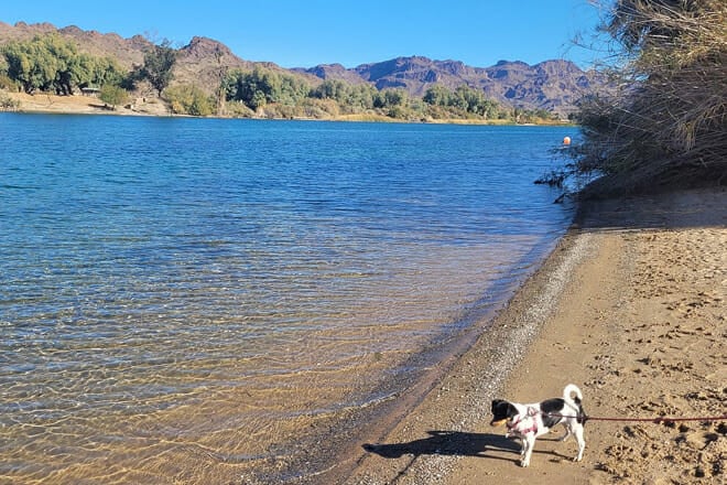 buckskin mountain state park — parker