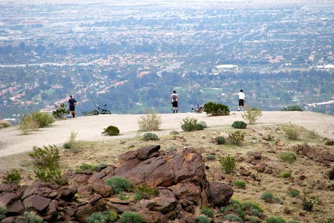 bump and grind trail