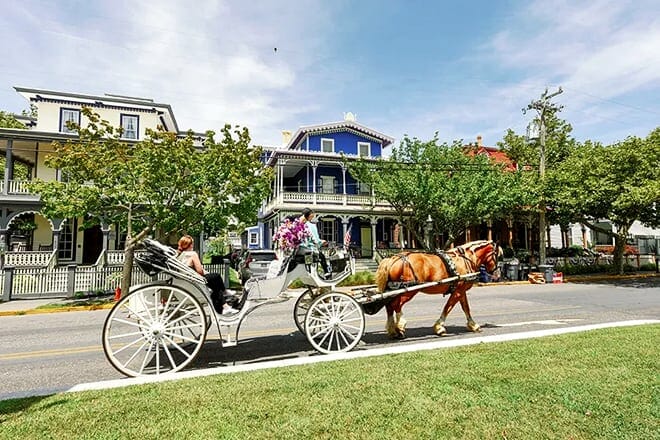 cape may carriage company