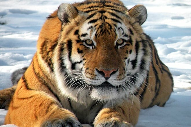 cape may county park and zoo