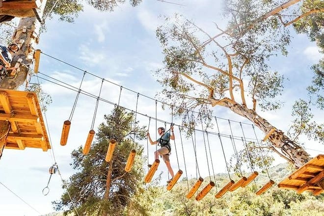 catalina aerial adventure