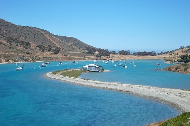 catalina harbor