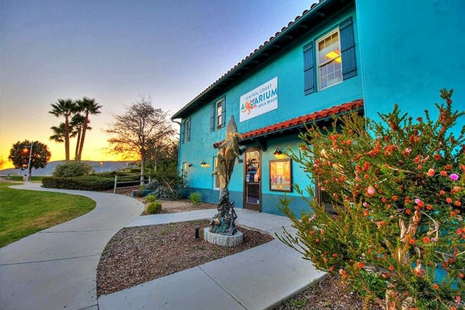 central coast aquarium